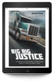Big Rig Justice: A Comprehensive Guide to Maximizing Value in Truck Ac ...